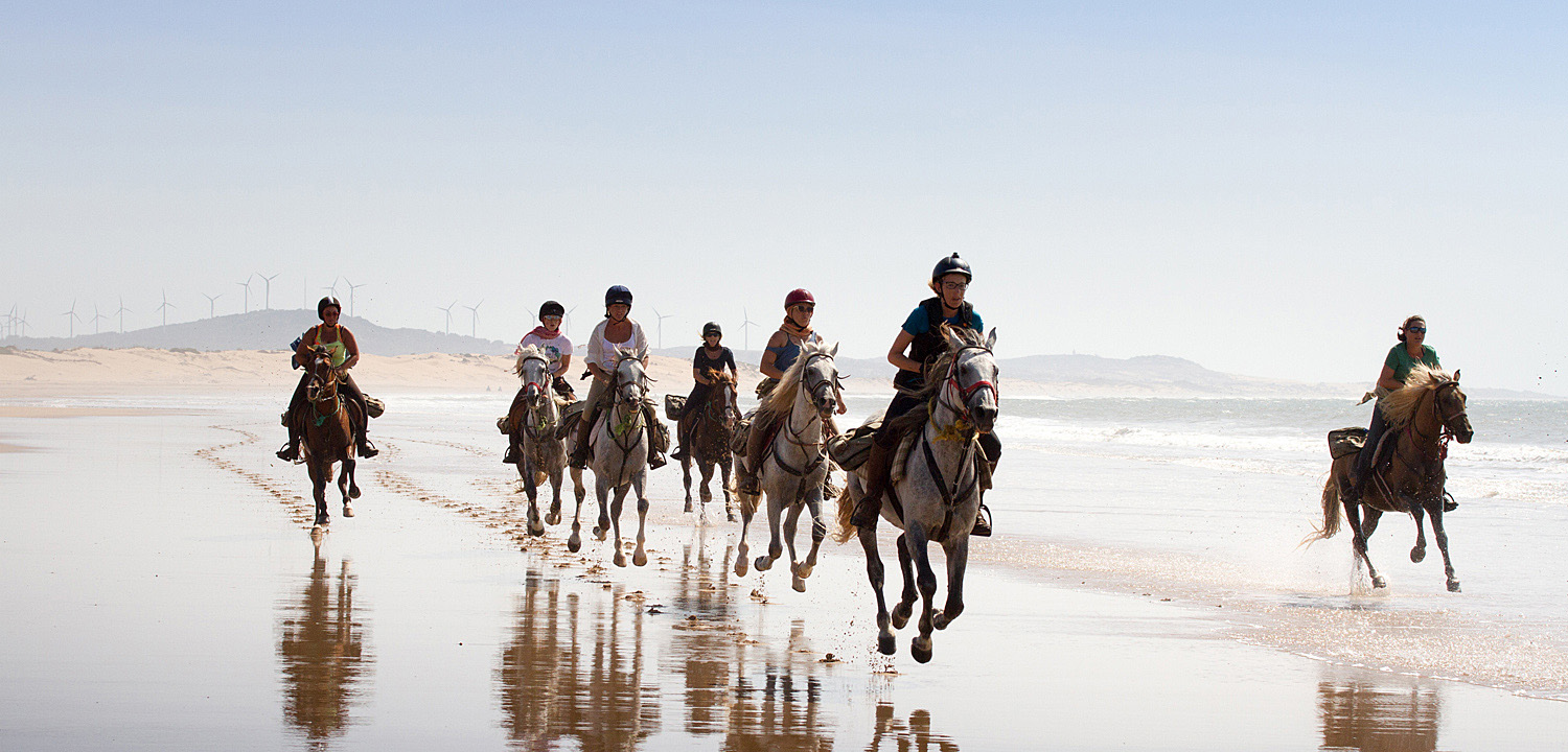 Randonnée équestre au Maroc | Balades cheval et dromadaire Essaouira ...