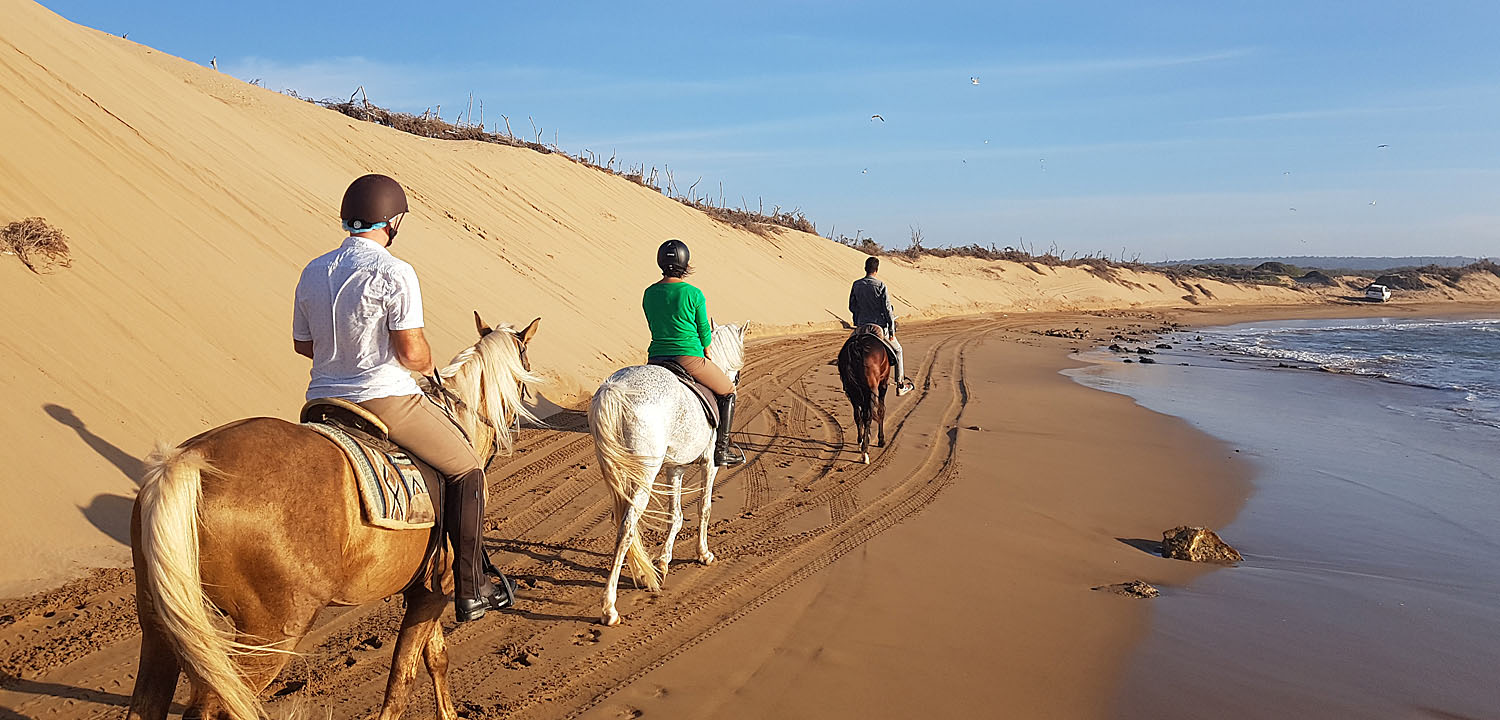 Horse Riding Essaouira - Horse Rides | Zouina Cheval Morocco